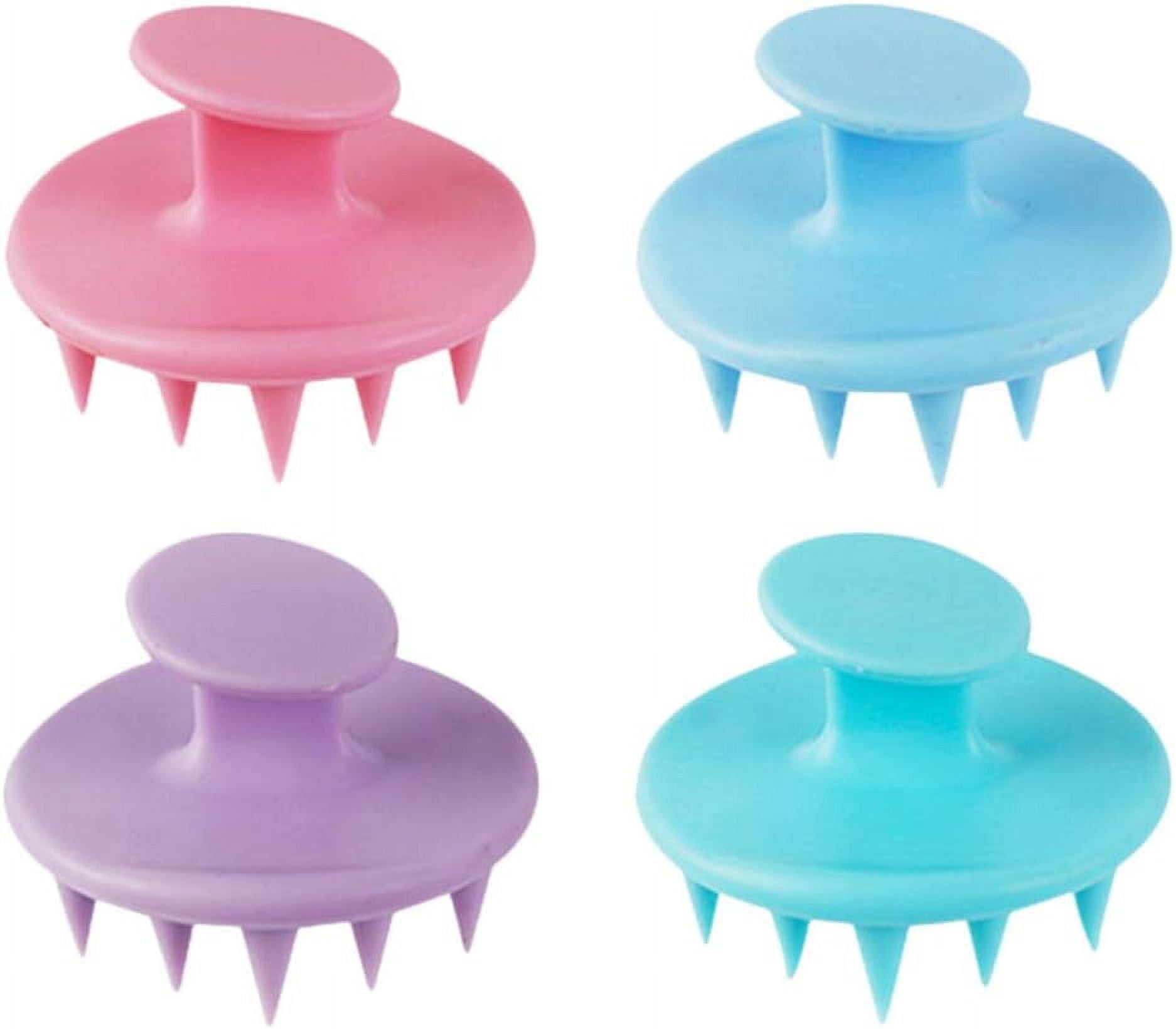 4 Pcs Anti- Dandruff Hair Brushes, Exquisite Massage Combs, Scalp ...