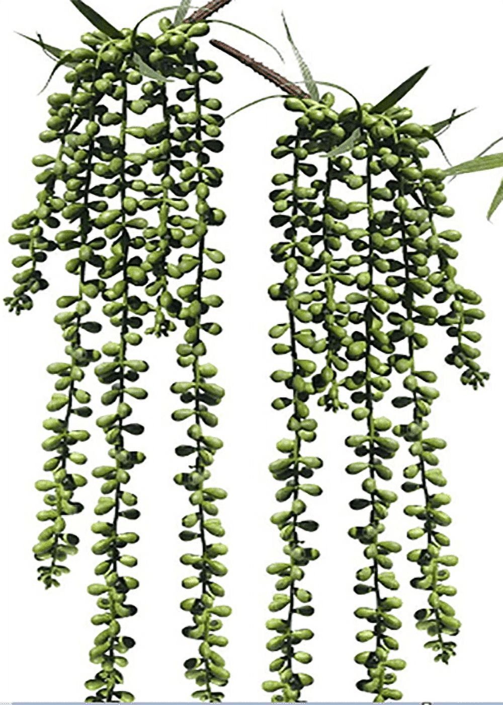 4 Pcs Artificial Hanging Succulents Faux Burro'S Tail Picks Trailing ...