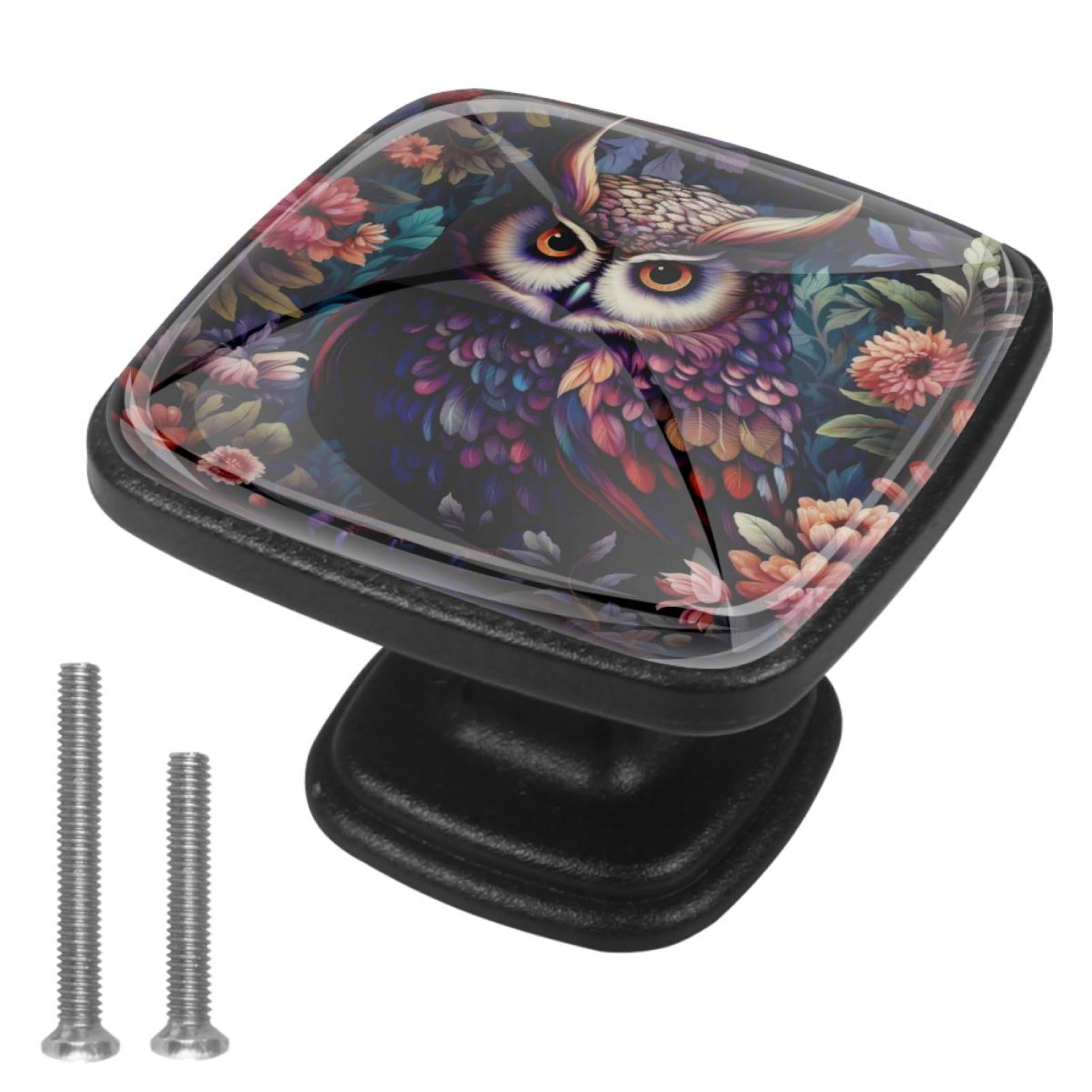 4 Pcs Cabinet Handle Drawer Pulls Cartoon Owl Knobs with Screws Square ...