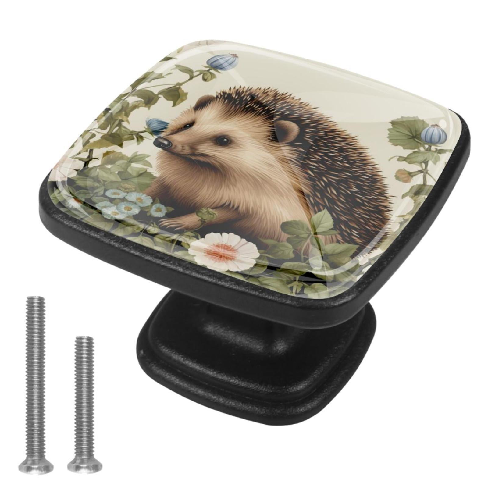 4 Pcs Cabinet Handle Drawer Pulls Hedgehog Knobs with Screws Square ...