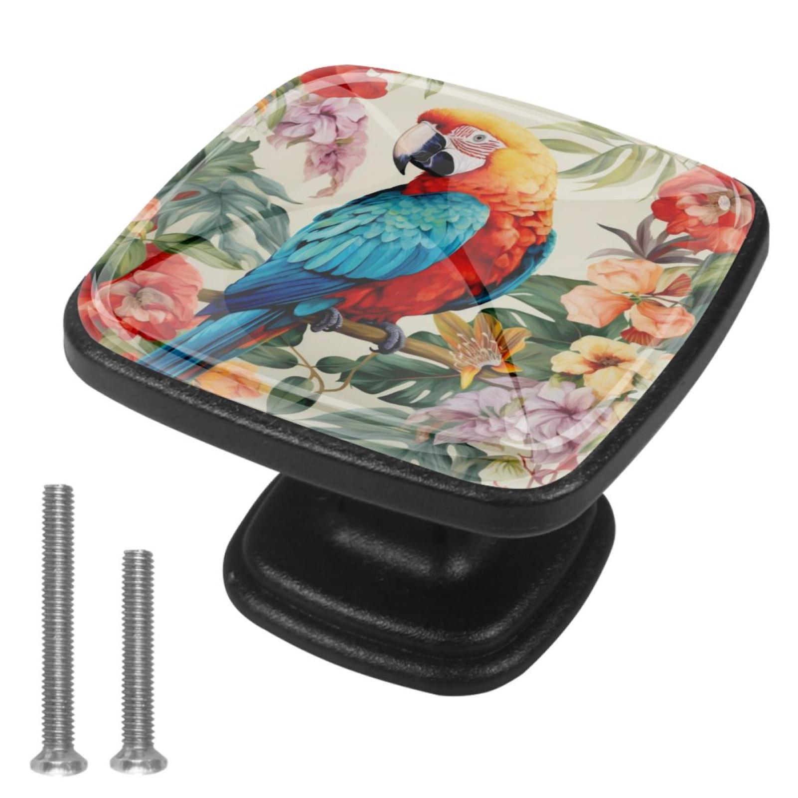 4 Pcs Cabinet Handle Drawer Pulls Parrot Knobs with Screws Square ...