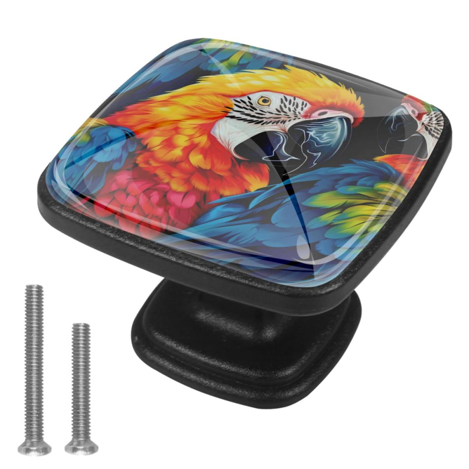 4 Pcs Cabinet Handle Drawer Pulls Parrot Knobs with Screws Square ...