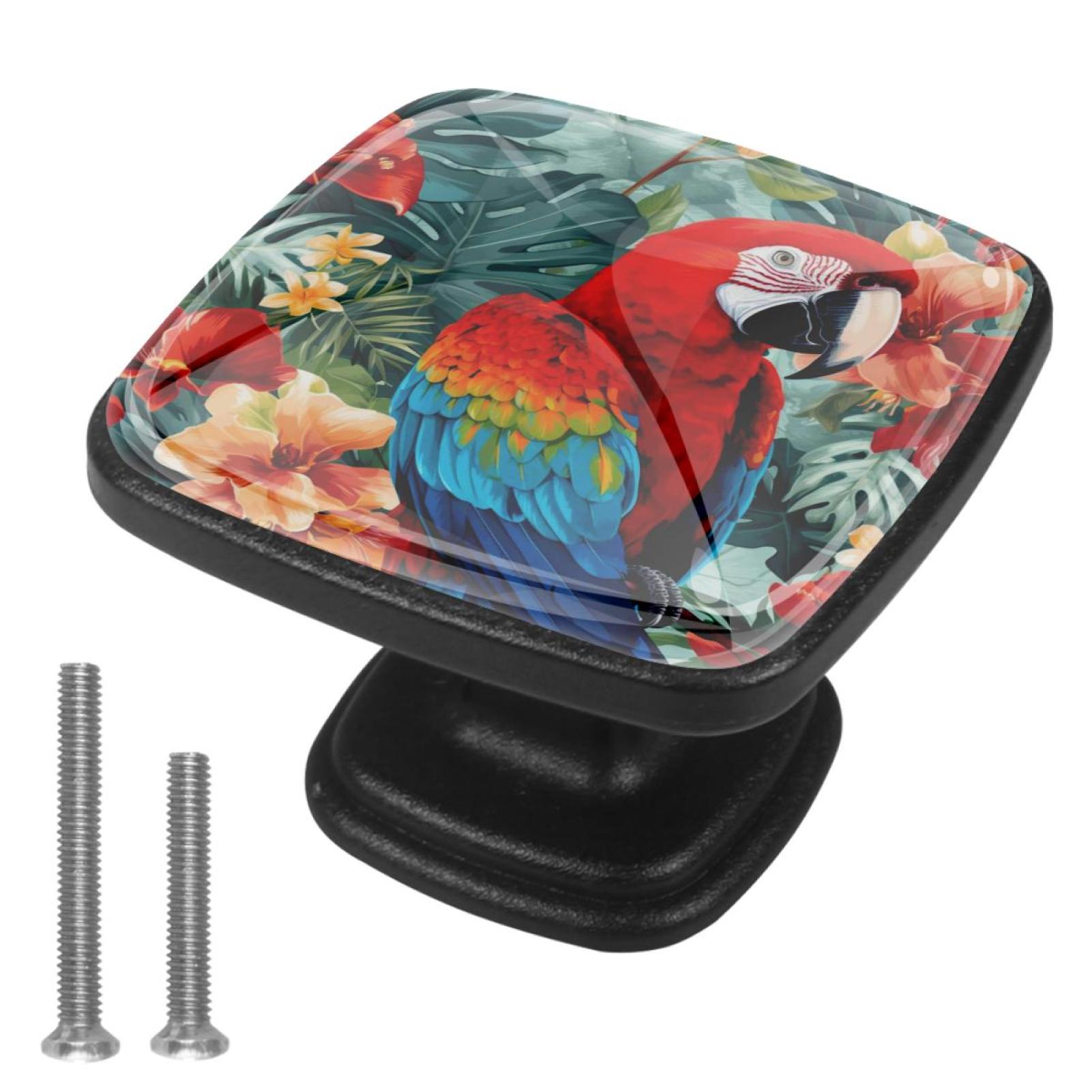 4 Pcs Cabinet Handle Drawer Pulls Parrot Knobs with Screws Square ...