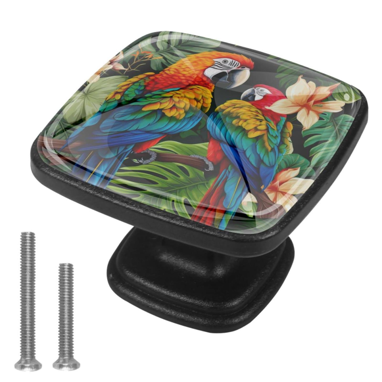 4 Pcs Cabinet Handle Drawer Pulls Parrot Knobs with Screws Square ...