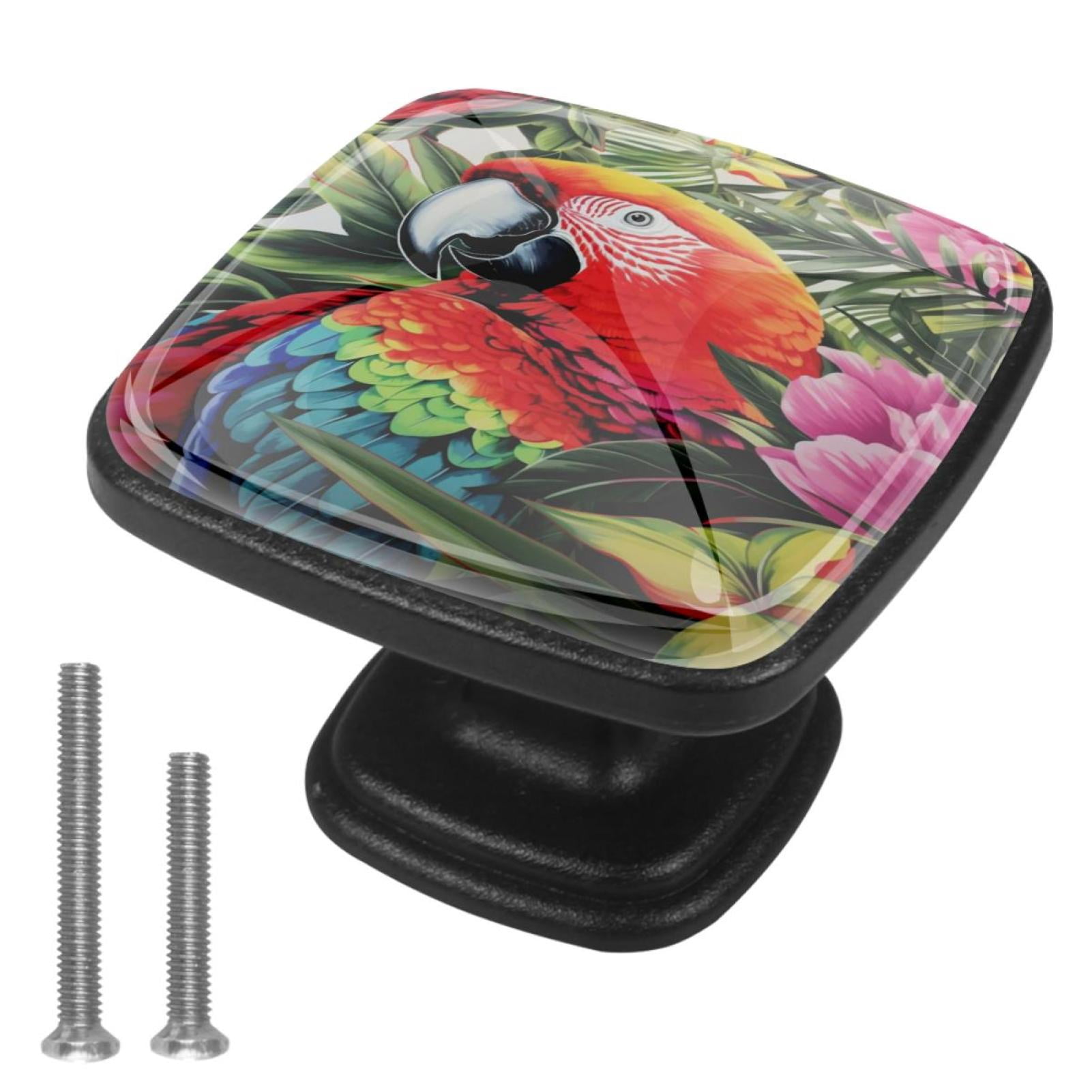 4 Pcs Cabinet Handle Drawer Pulls Parrot Knobs with Screws Square ...