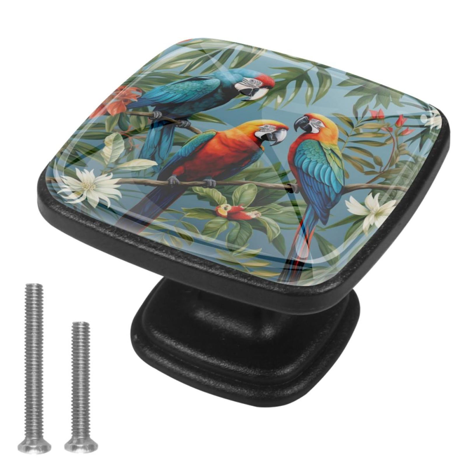 4 Pcs Cabinet Handle Drawer Pulls Parrot Knobs with Screws Square ...
