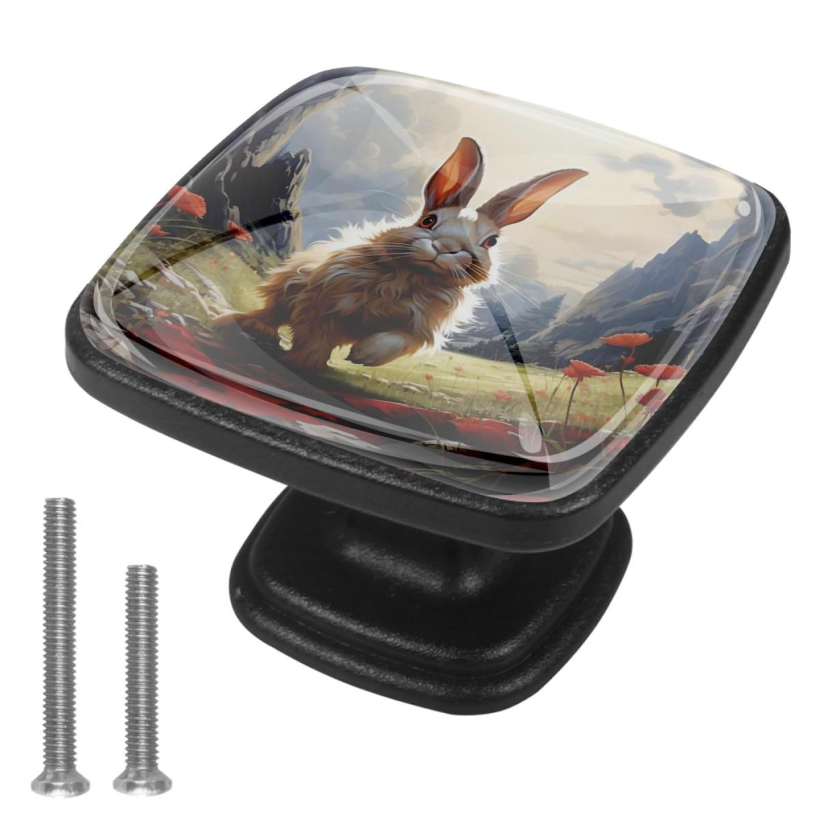 4 Pcs Cabinet Handle Drawer Pulls Rabbit Knobs with Screws Square ...