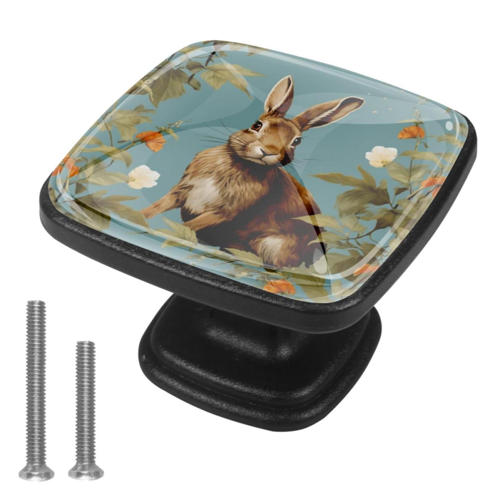 4 Pcs Cabinet Handle Drawer Pulls Rabbit Knobs with Screws Square ...