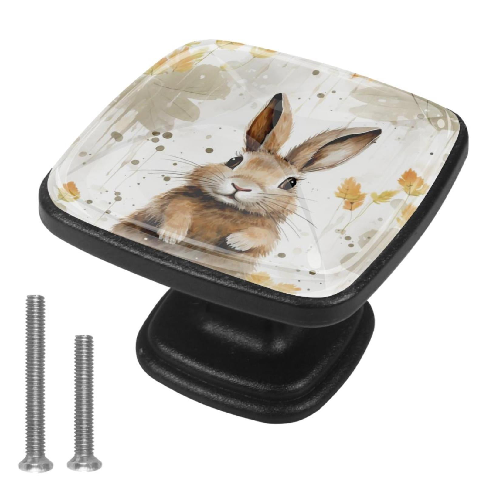 4 Pcs Cabinet Handle Drawer Pulls Rabbit Knobs with Screws Square ...
