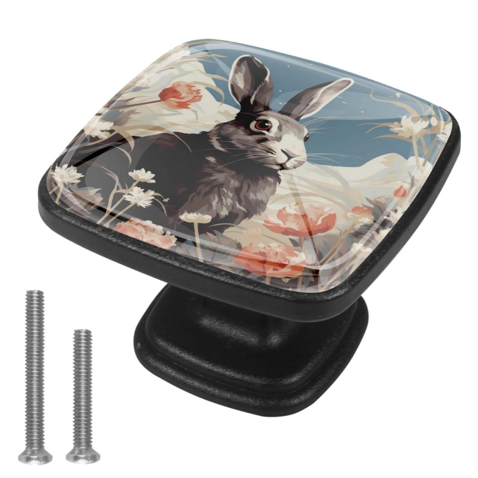 4 Pcs Cabinet Handle Drawer Pulls Rabbit Knobs with Screws Square ...