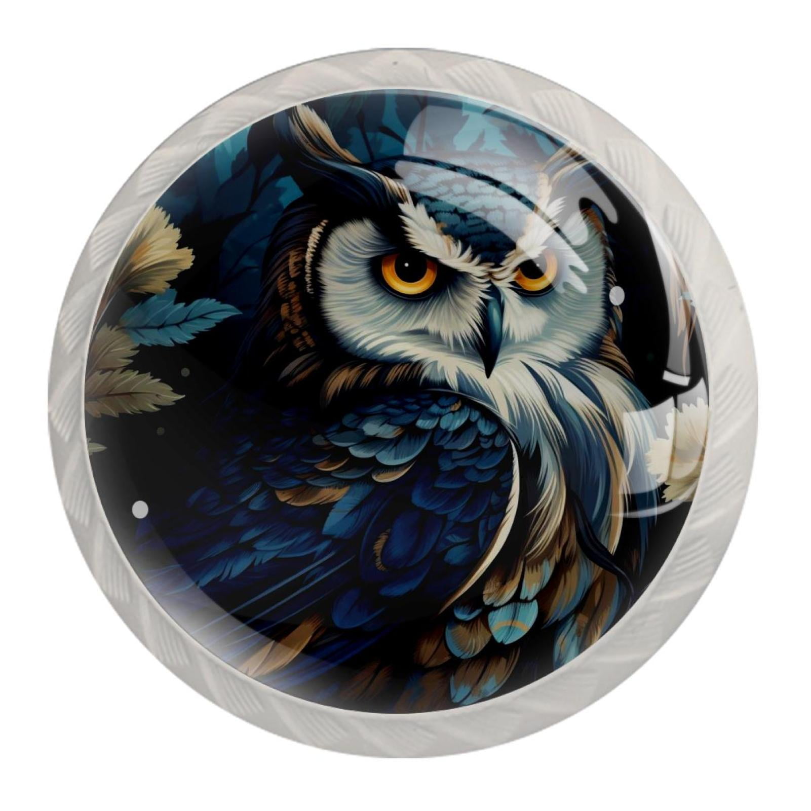 4 Pcs Cartoon Owl Knobs for Kitchen Cabinet Cupboard Dresser Bookcase ...