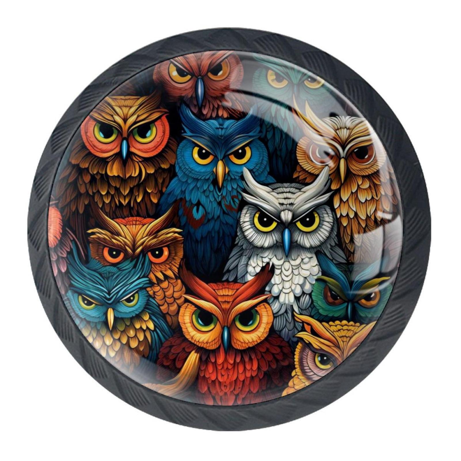 4 Pcs Cartoon Owl Knobs for Kitchen Cabinet Cupboard Dresser Bookcase ...