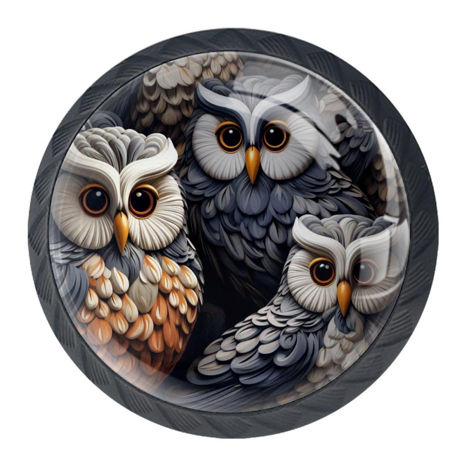 4 Pcs Cartoon Owl Knobs for Kitchen Cabinet Cupboard Dresser Bookcase ...