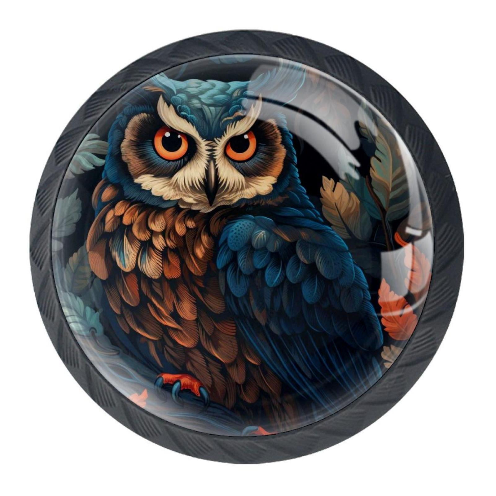 4 Pcs Cartoon Owl Knobs for Kitchen Cabinet Cupboard Dresser Bookcase ...