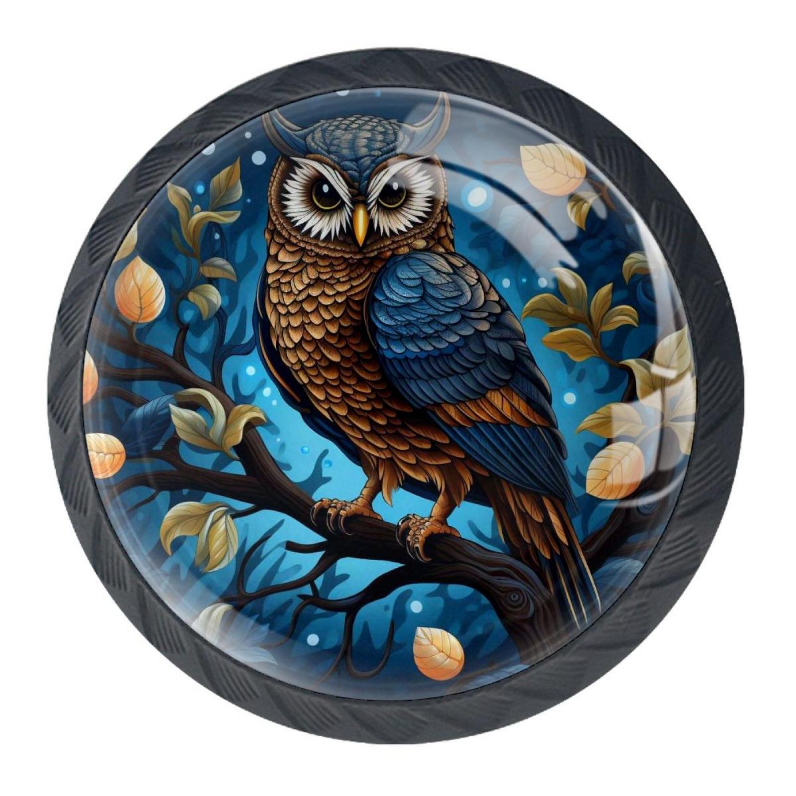 4 Pcs Cartoon Owl Knobs for Kitchen Cabinet Cupboard Dresser Bookcase ...