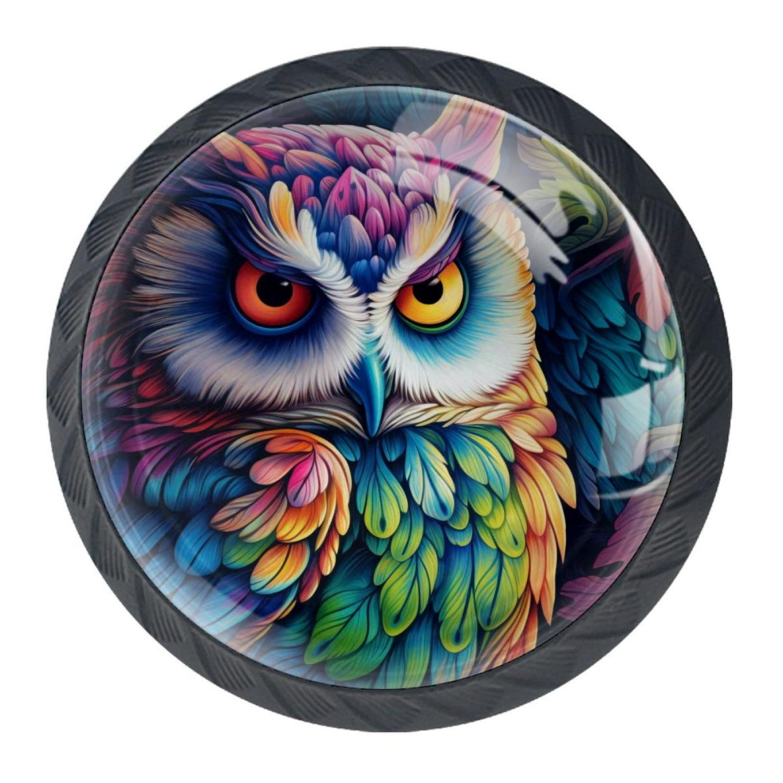 4 Pcs Cartoon Owl Knobs for Kitchen Cabinet Cupboard Dresser Bookcase ...