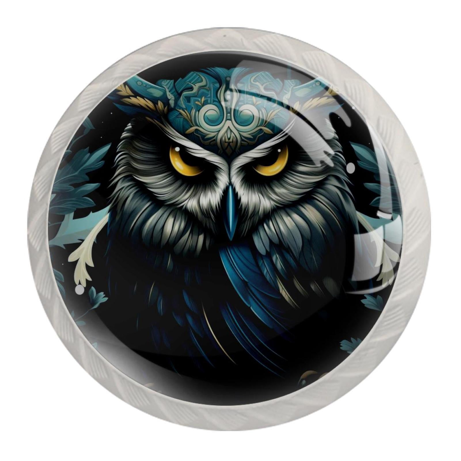 4 Pcs Cartoon Owl Knobs for Kitchen Cabinet Cupboard Dresser Bookcase ...