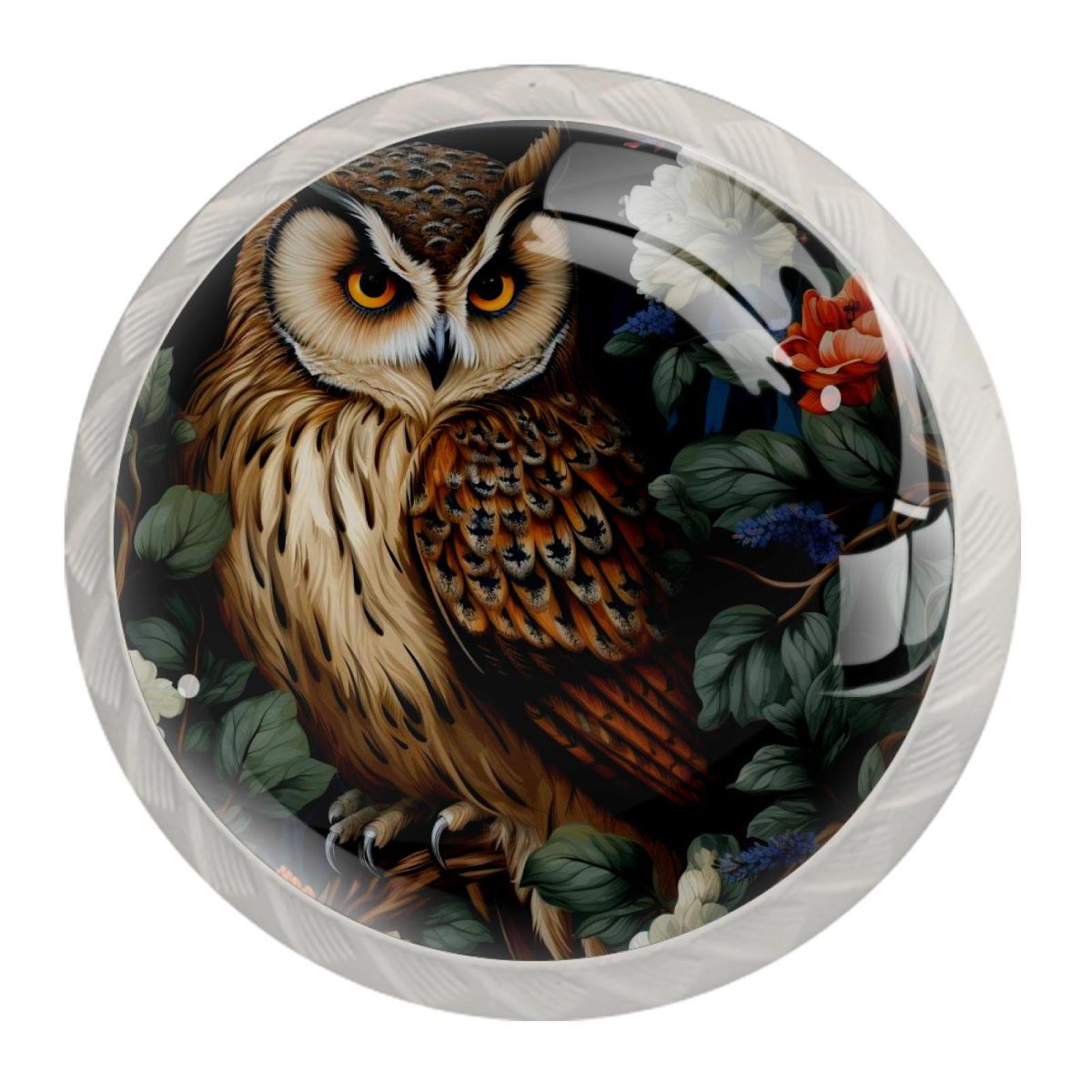 4 Pcs Cartoon Owl Knobs for Kitchen Cabinet Cupboard Dresser Bookcase ...