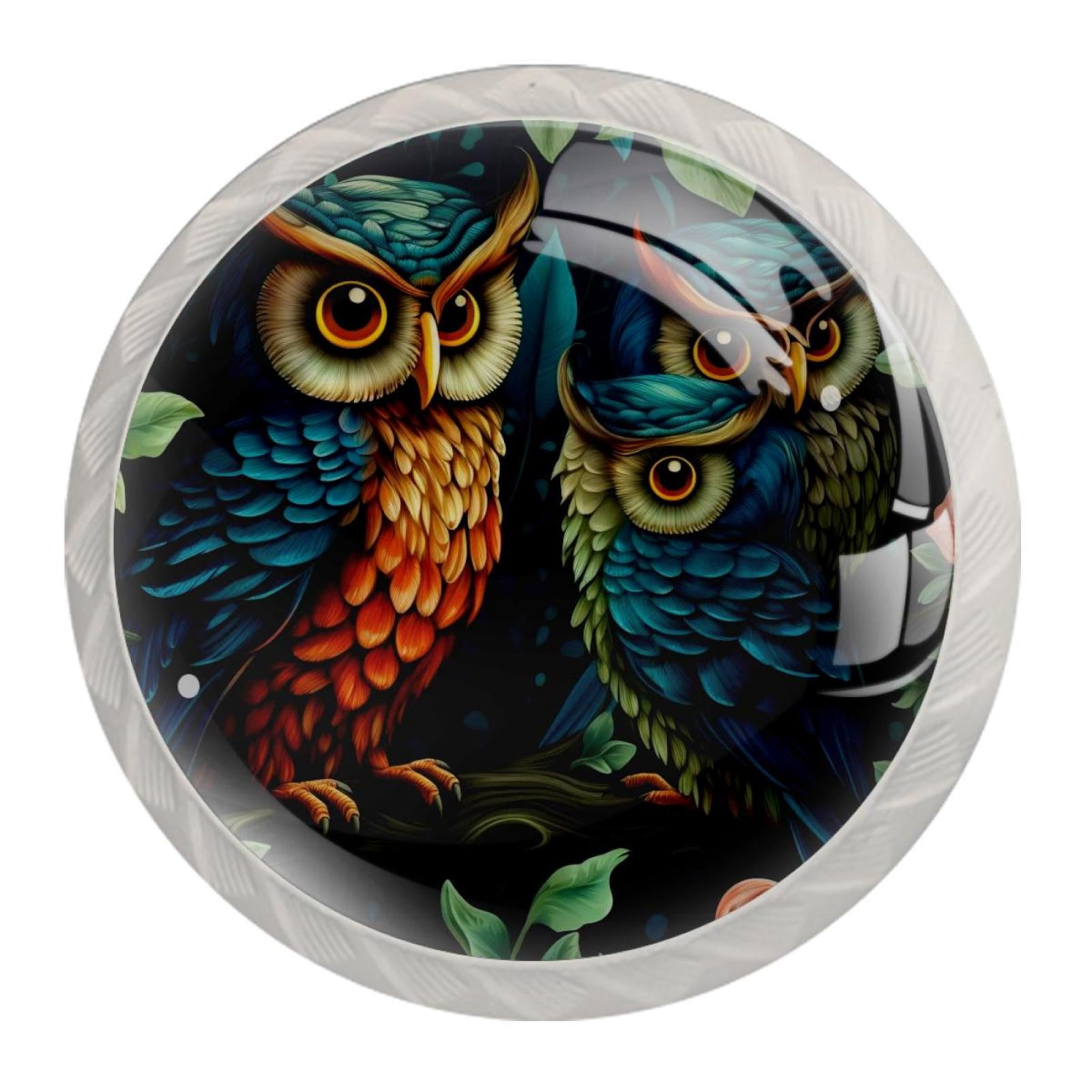4 Pcs Cartoon Owl Knobs for Kitchen Cabinet Cupboard Dresser Bookcase ...