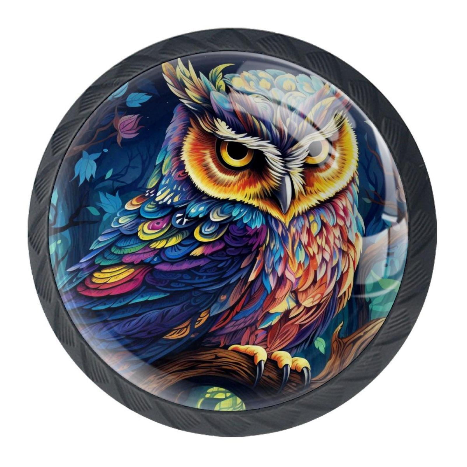 4 Pcs Cartoon Owl Knobs for Kitchen Cabinet Cupboard Dresser Bookcase ...