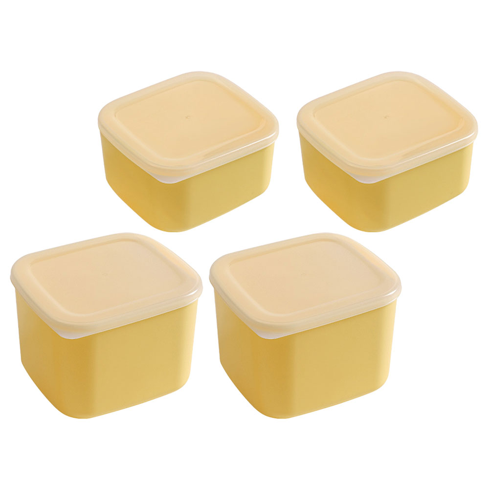 4 Pcs Cheese Storage Box Mini Refrigerator Cheese Holder Fridge ...