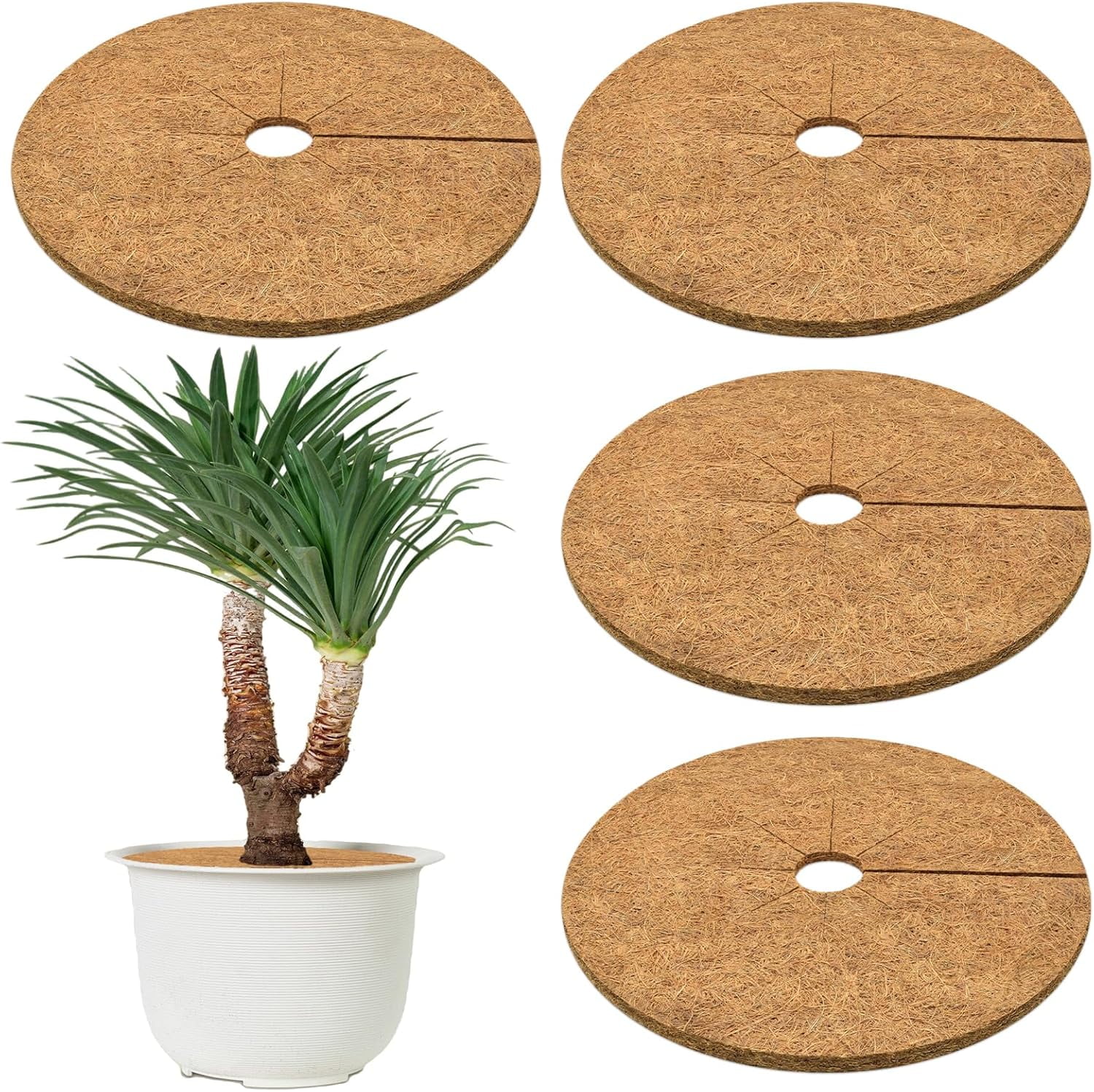 4 Pcs Coconut Fibers Mulch Ring Tree Protector Mat, Coco Coir Tree ...