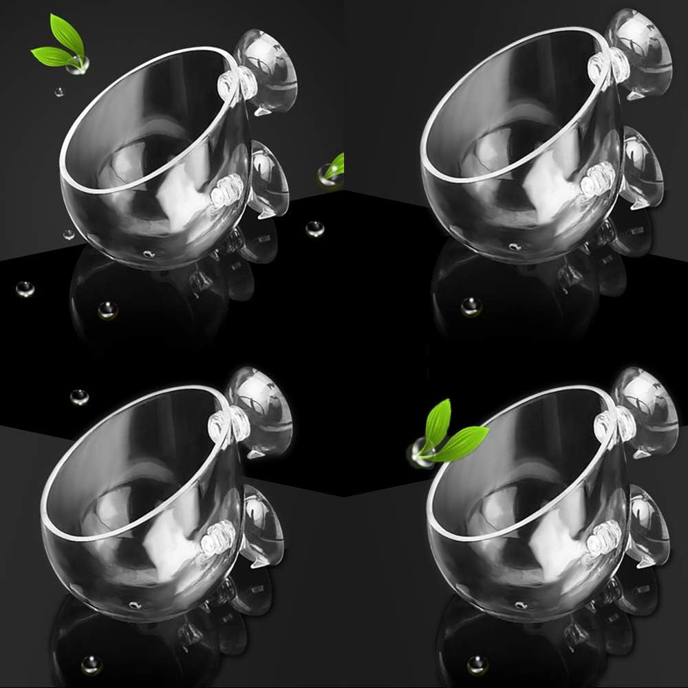 4 Pcs Crystal Glass Plant Cups Aquatic Pots with Suction Holder Mini ...