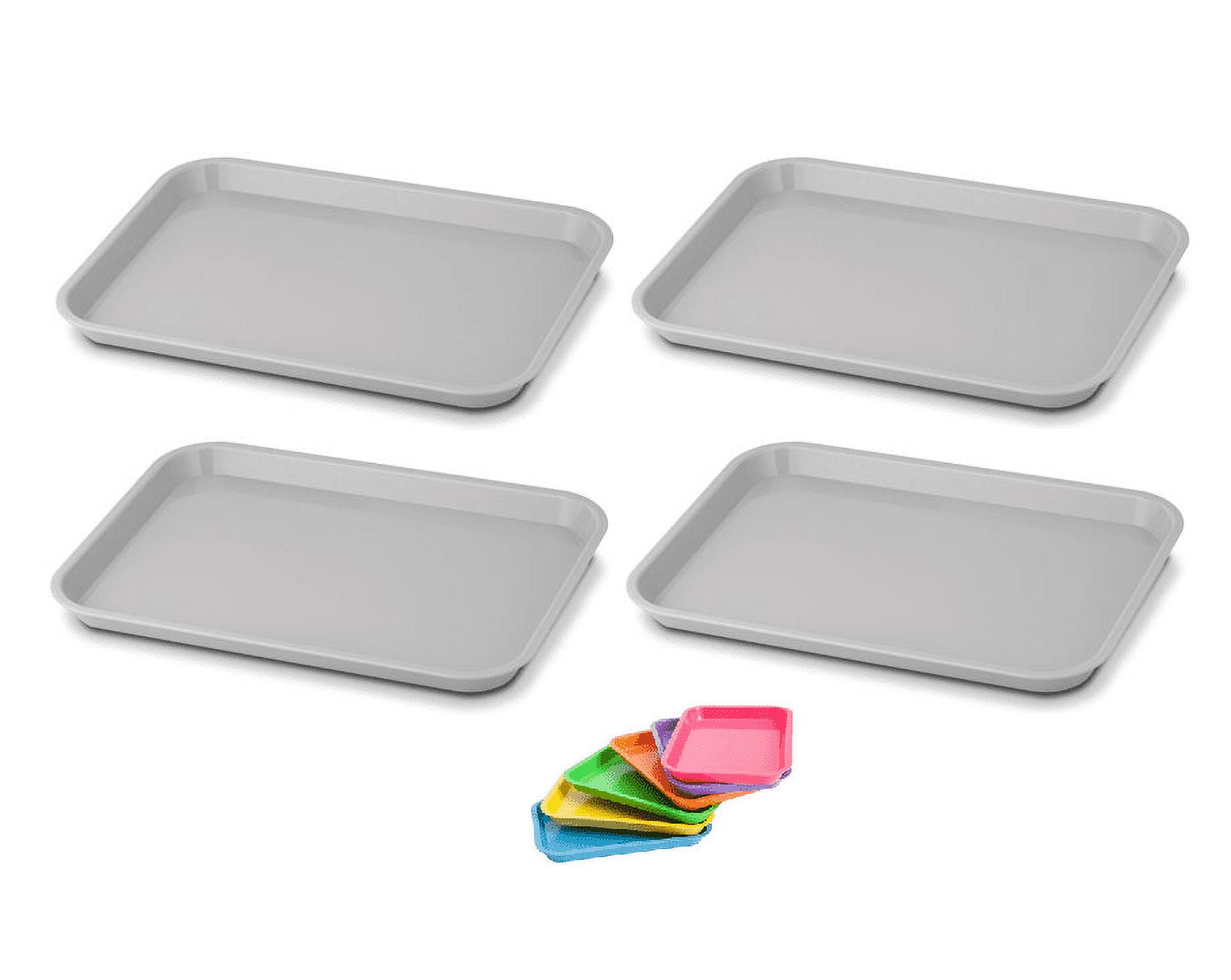 4/Pcs Dental Trays Flat B (Ritter) 13½" x 9⅝" x ⅞", Autoclavable ...