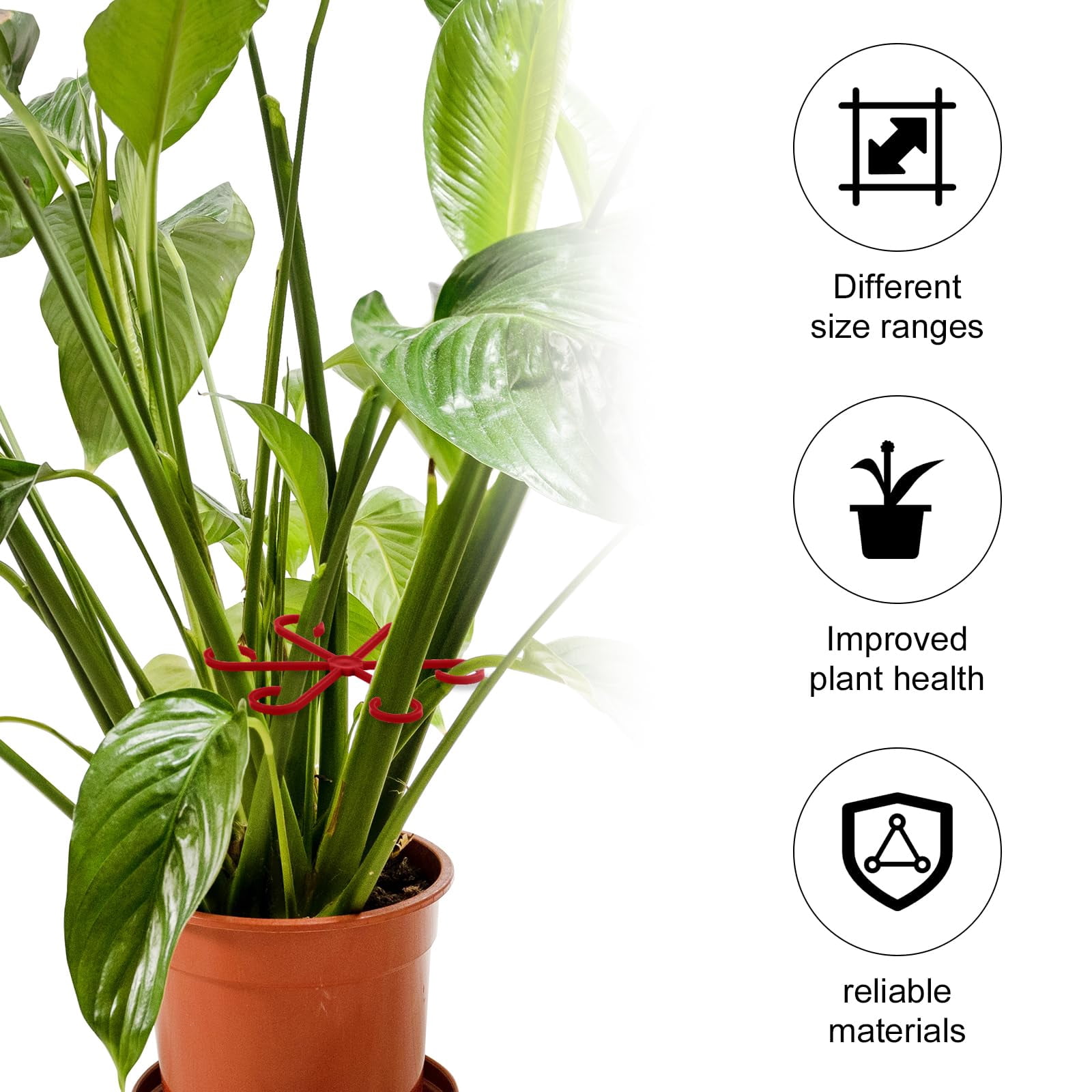 4 Pcs Garden Climbing Houseplant Stem Supports, Plastic Plant Climbers ...