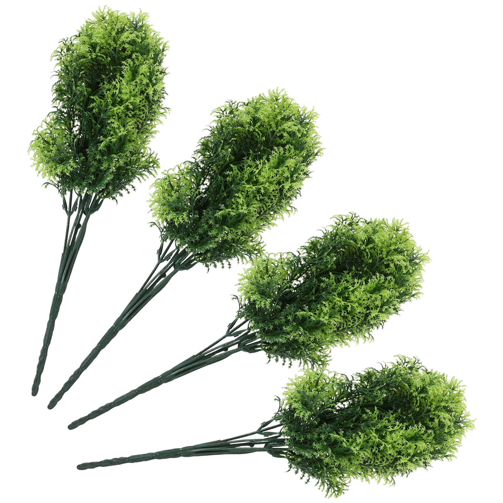 Bride Plant