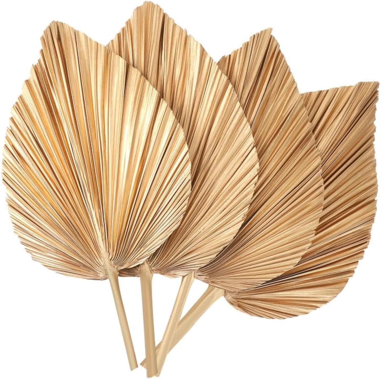 4 Pcs Large Gold Dried Palm Leaves,Natural Boho Dried Palm Leaves Fans ...