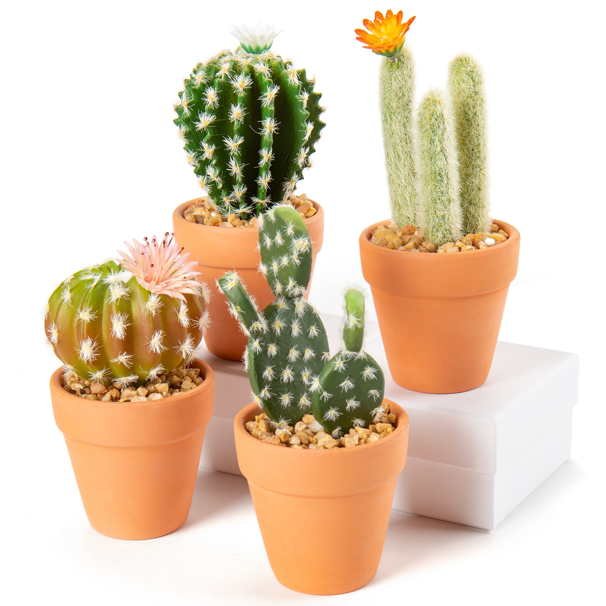 4 Pcs Mini Artificial Cactus Plants in Terracotta Pots Faux Succulents ...