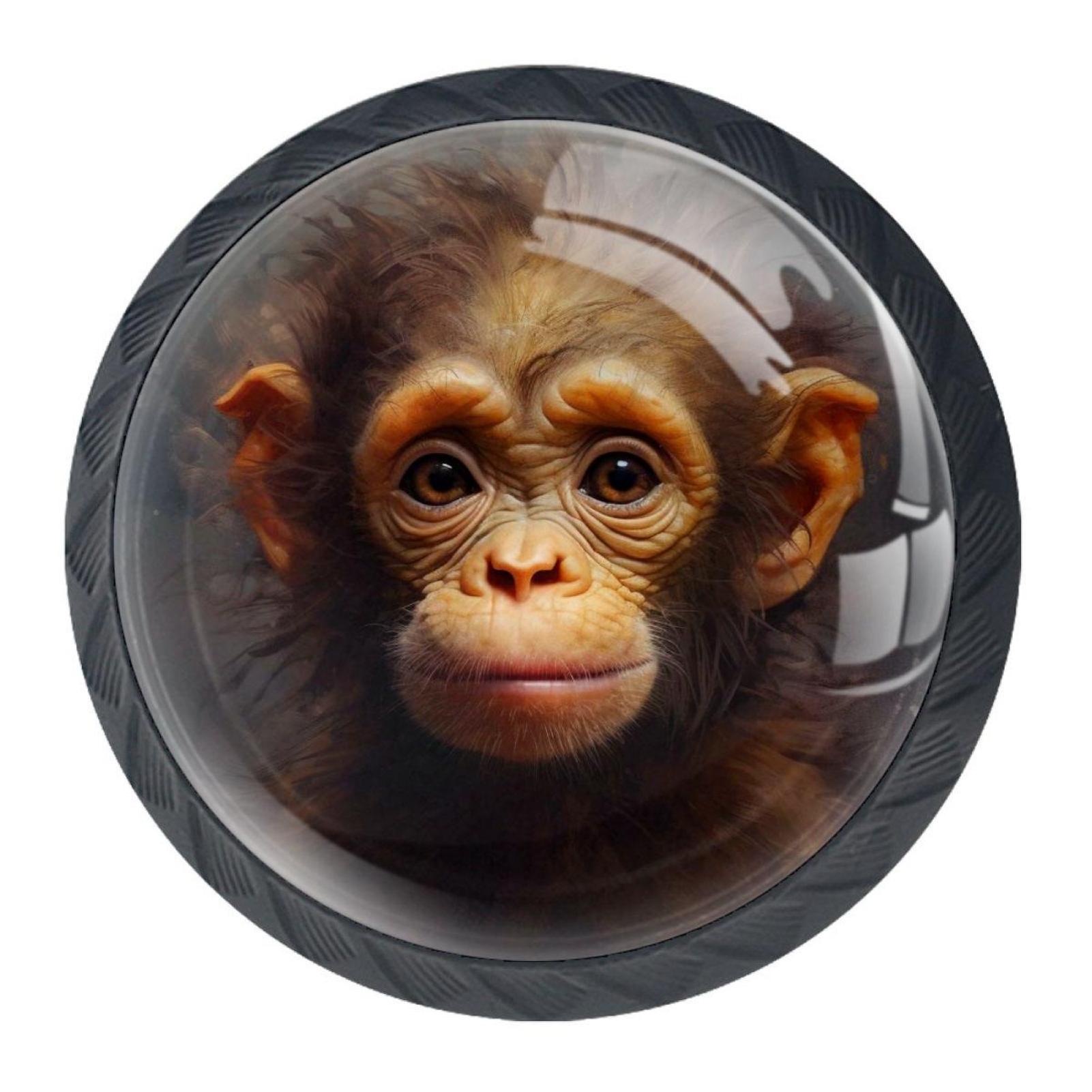 4 Pcs Monkey Knobs for Kitchen Cabinet Cupboard Dresser Bookcase Drawer ...