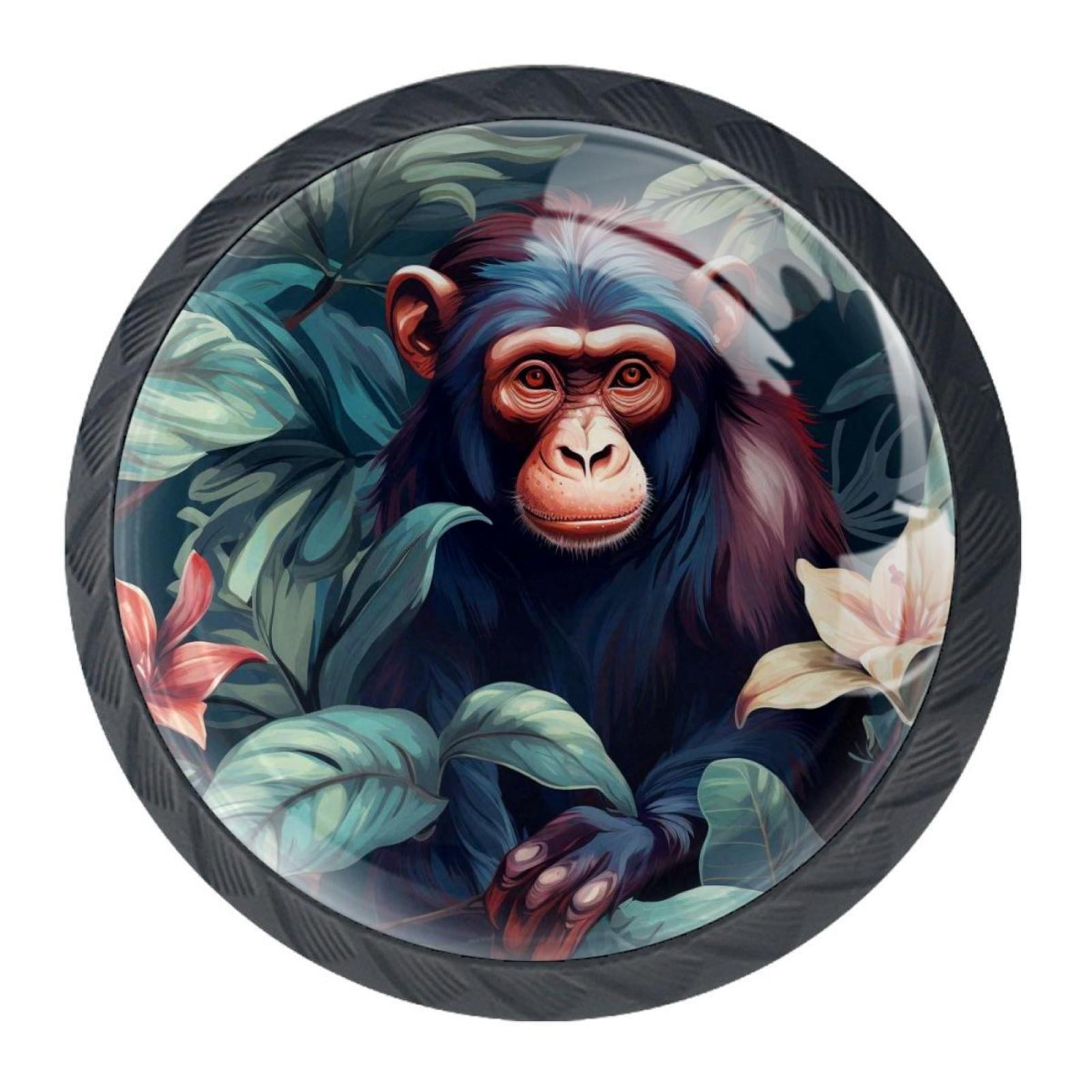 4 Pcs Monkey Knobs for Kitchen Cabinet Cupboard Dresser Bookcase Drawer ...