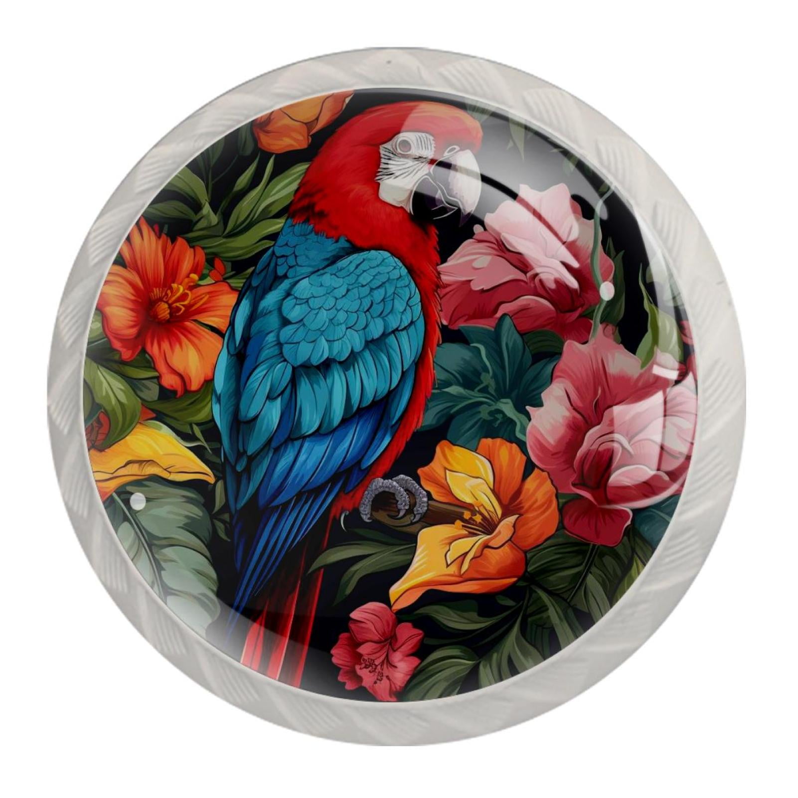 4 Pcs Parrot Knobs for Kitchen Cabinet Cupboard Dresser Bookcase Drawer ...