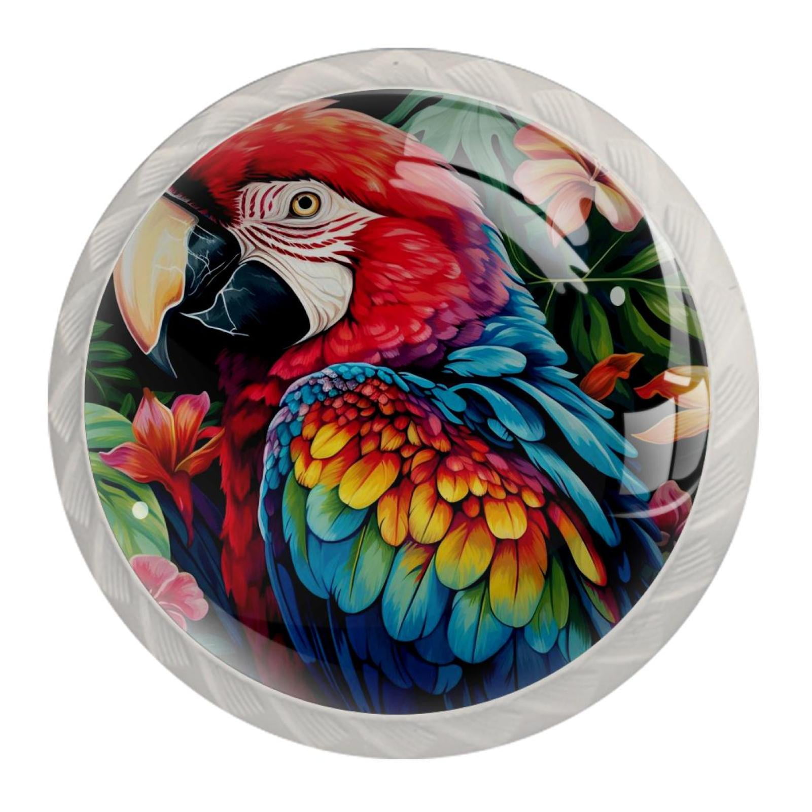 4 Pcs Parrot Knobs for Kitchen Cabinet Cupboard Dresser Bookcase Drawer ...