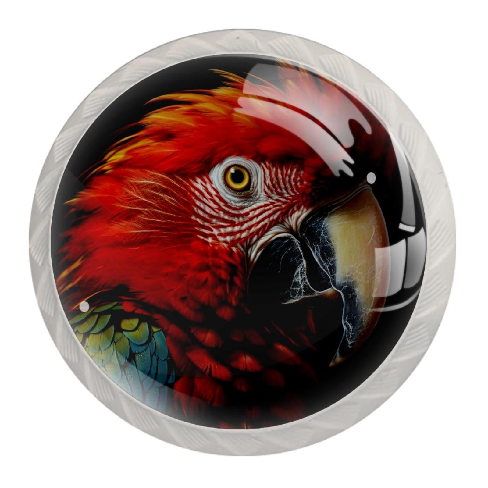 4 Pcs Parrot Knobs for Kitchen Cabinet Cupboard Dresser Bookcase Drawer ...