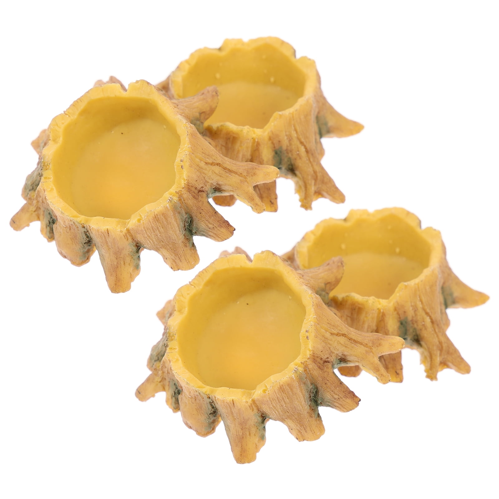 4 Pcs Pet Birdbath Small Water Bowls Water Basin for Spiders Rock Food ...