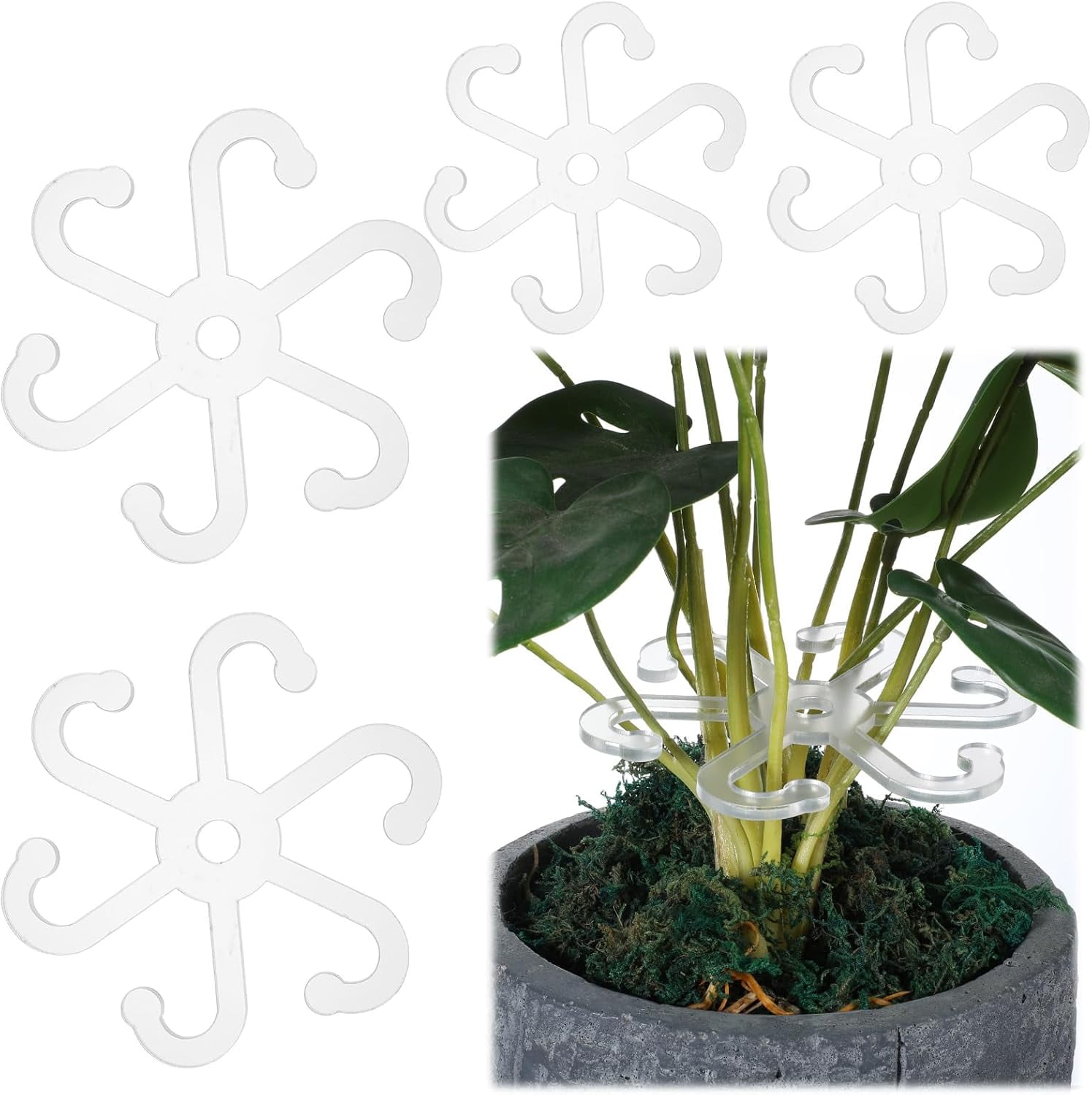 4 Pcs Plant Stem Support with Holes, Climbing Houseplant Stem Supports ...