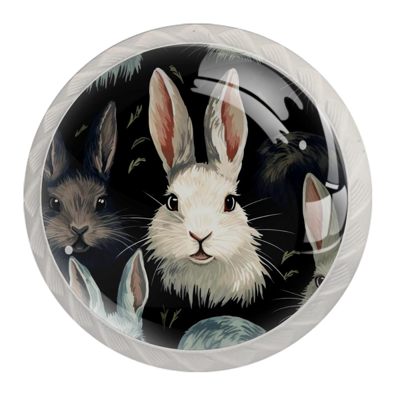 4 Pcs Rabbit Knobs for Kitchen Cabinet Cupboard Dresser Bookcase Drawer ...