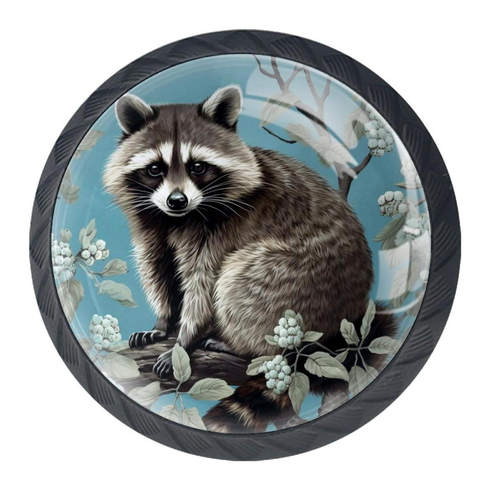 4 Pcs Raccoon Knobs for Kitchen Cabinet Cupboard Dresser Bookcase Drawer Pulls Handles Round ...