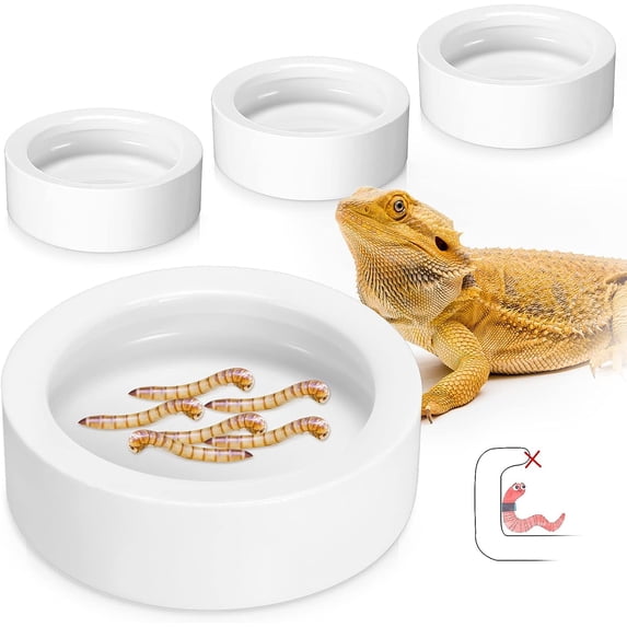 4 Pcs Reptile Bowl Food Dish 2.71 Inch Reptile Water Food Feeding Dish ...