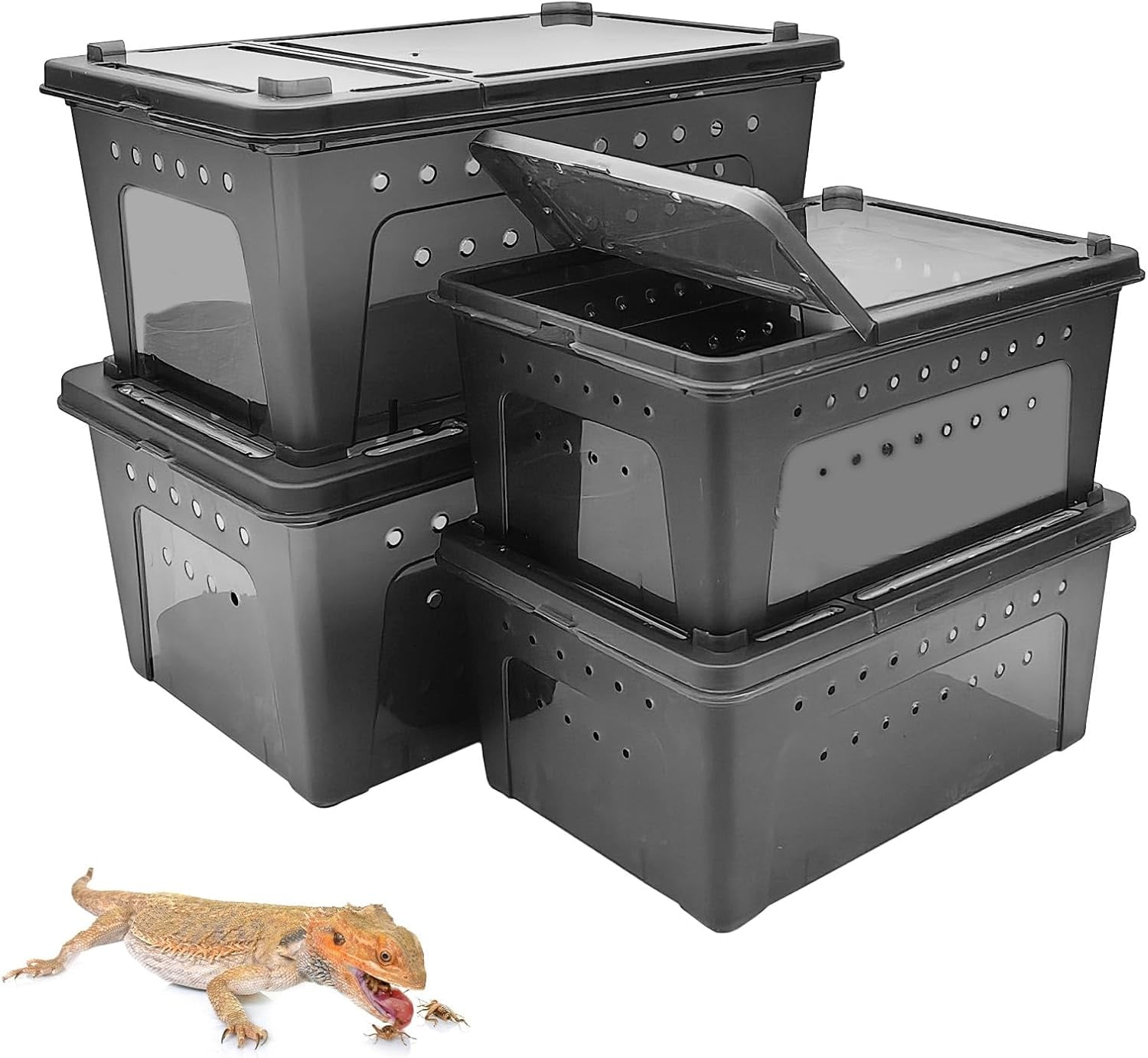 4 Pcs Reptile Breeding Box Plastic Feeding Box Transparent Transport ...