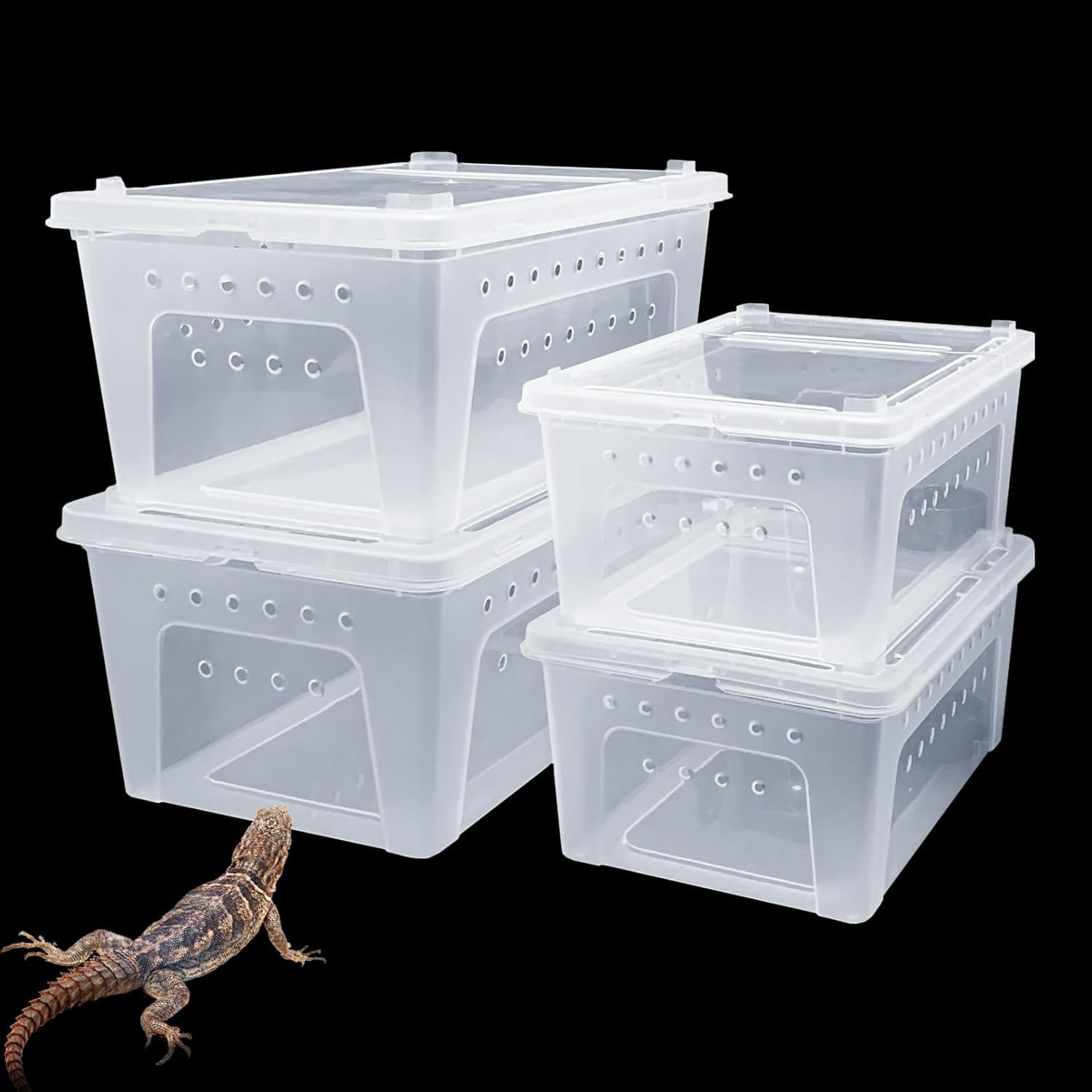 4 Pcs Reptile Breeding Box Plastic Feeding Box Transparent Transport ...