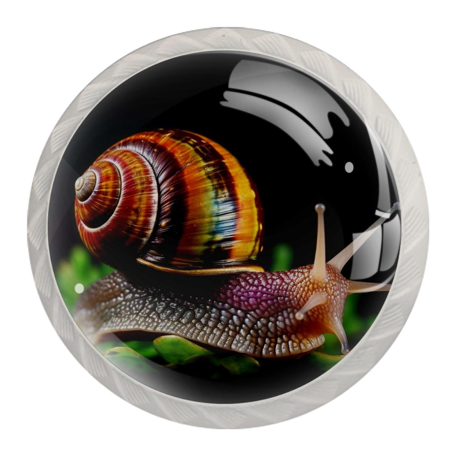 4 Pcs Snails Knobs for Kitchen Cabinet Cupboard Dresser Bookcase Drawer ...