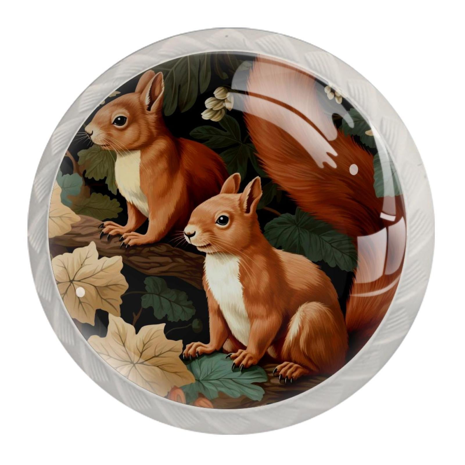 4 Pcs Squirrel Knobs for Kitchen Cabinet Cupboard Dresser Bookcase ...