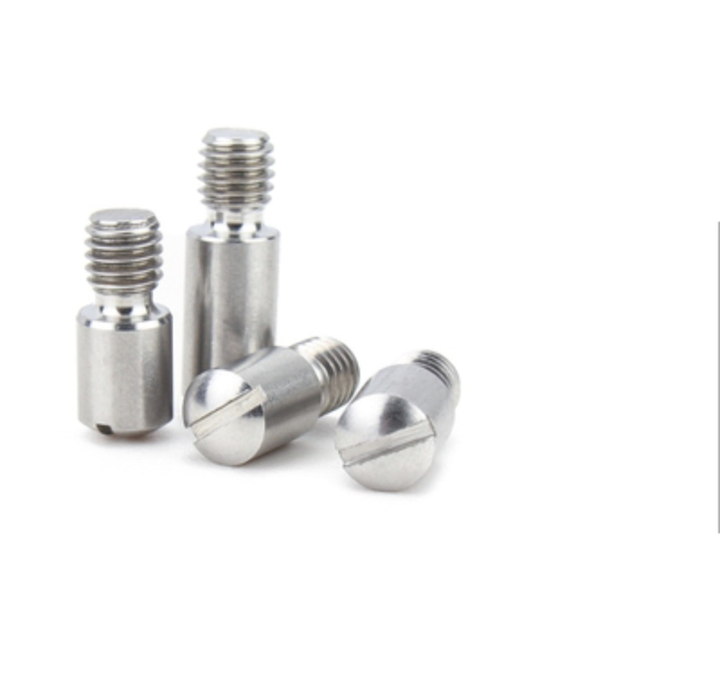 4 Pcs Stainless Steel Slotted Headless Axial Screws, Rod size: 3.5x10mm ...