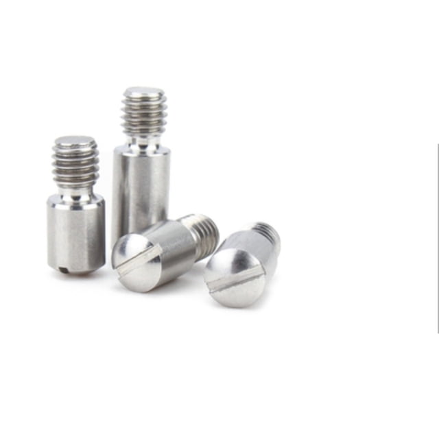 4 Pcs Stainless Steel Slotted Headless Axial Screws, Rod size: 5x10mm ...