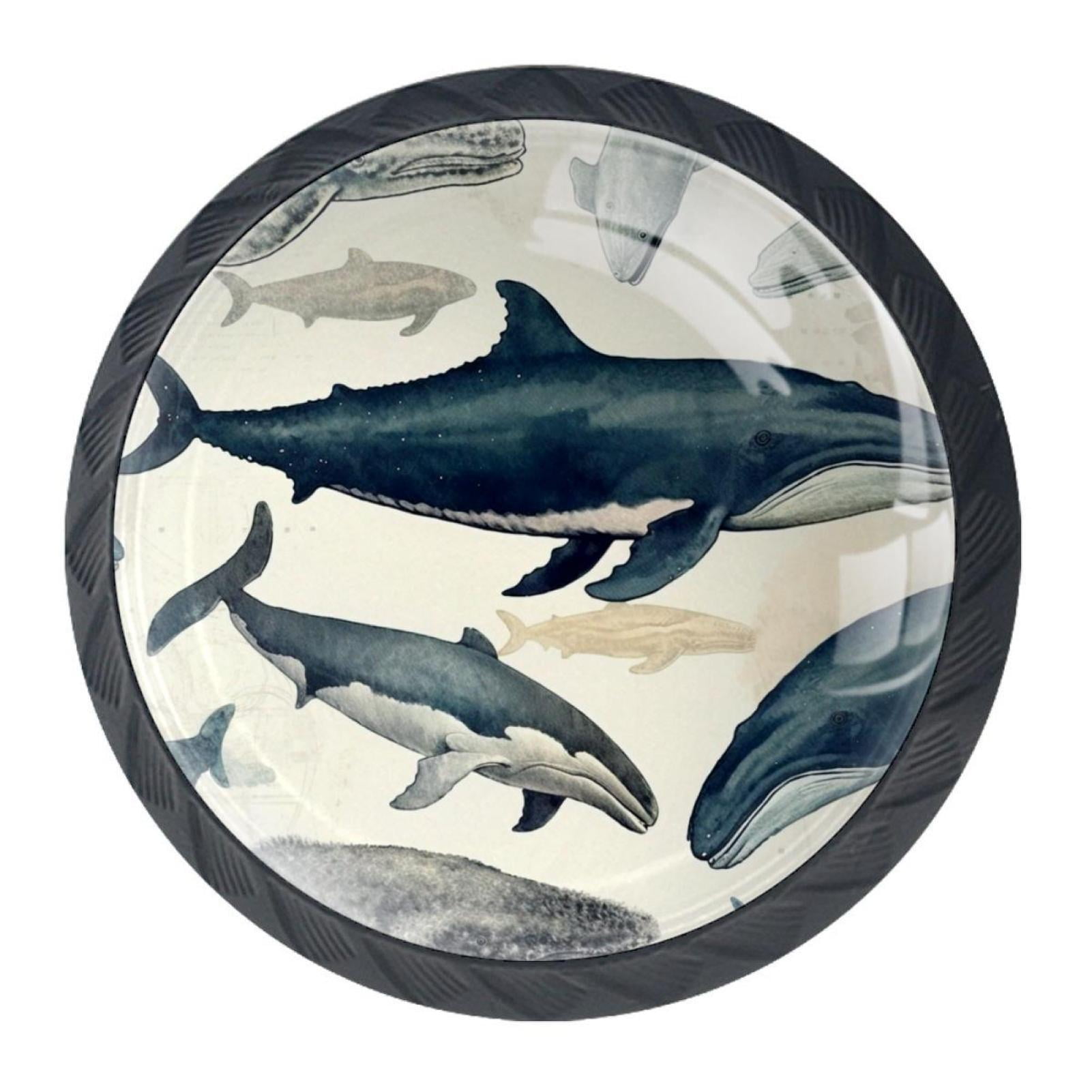 4 Pcs Whale Knobs for Kitchen Cabinet Cupboard Dresser Bookcase Drawer ...