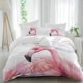 4 Piece Duvet Cover Set Full, Watercolor Pink Flamingo Feather Soft ...
